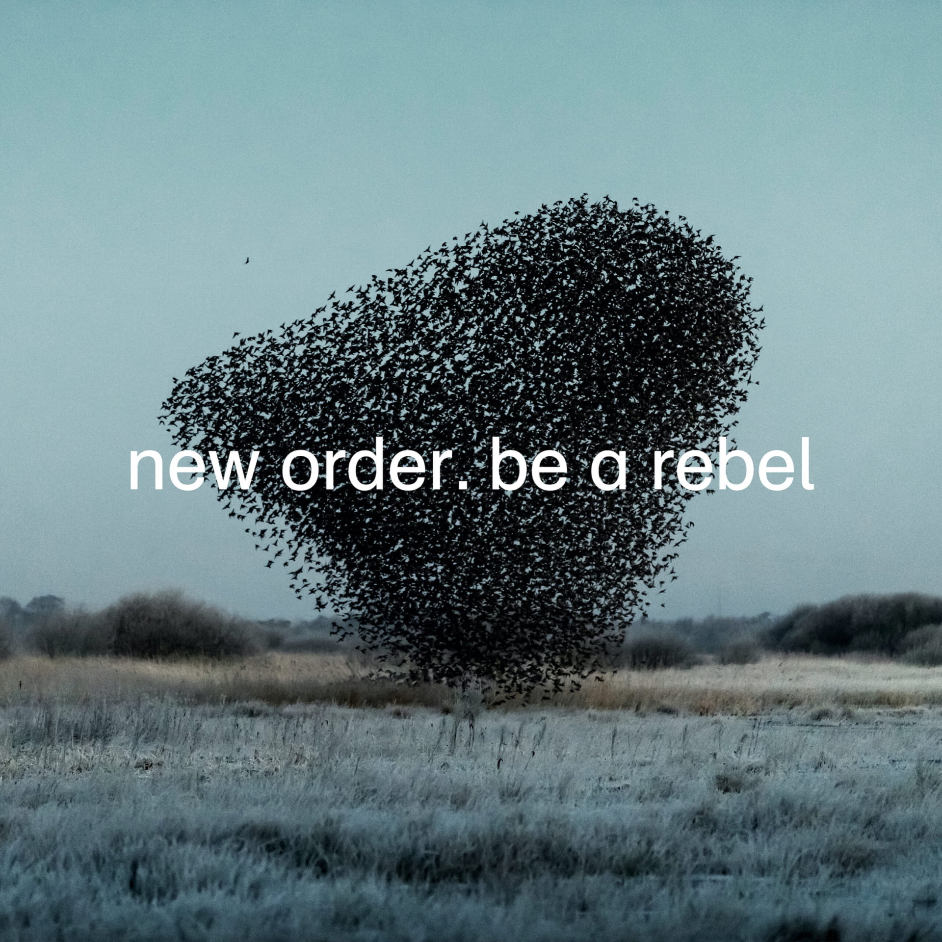 New Order a ich vzácni hostia prinášajú remix Be A Rebel - Music Press ...